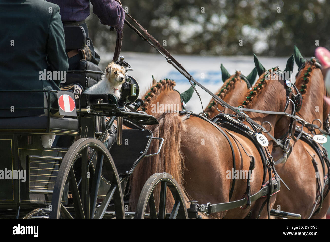 Driving Team High Resolution Stock Photography and Images - Alamy