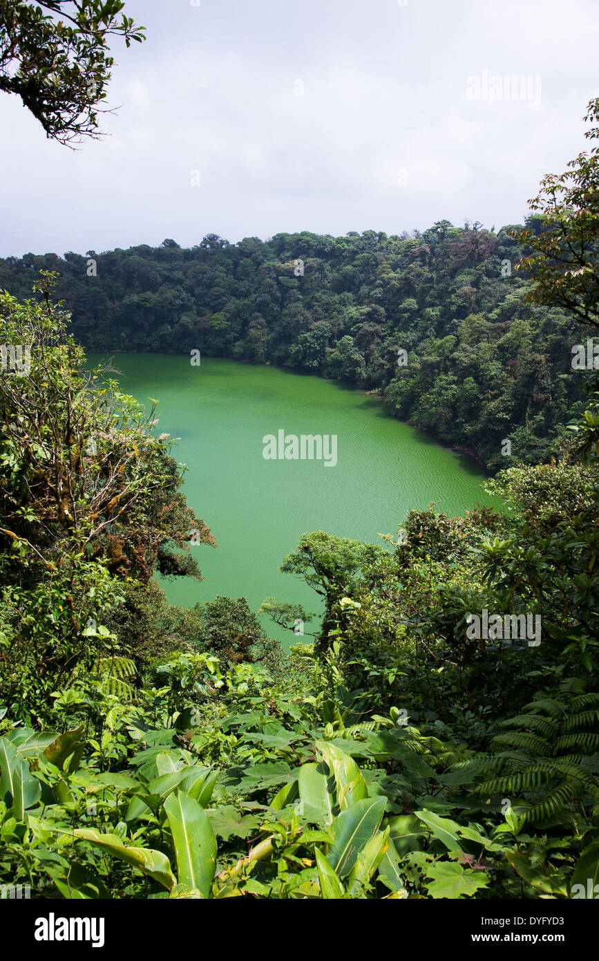 Green volcano crater hi-res stock photography and images - Alamy