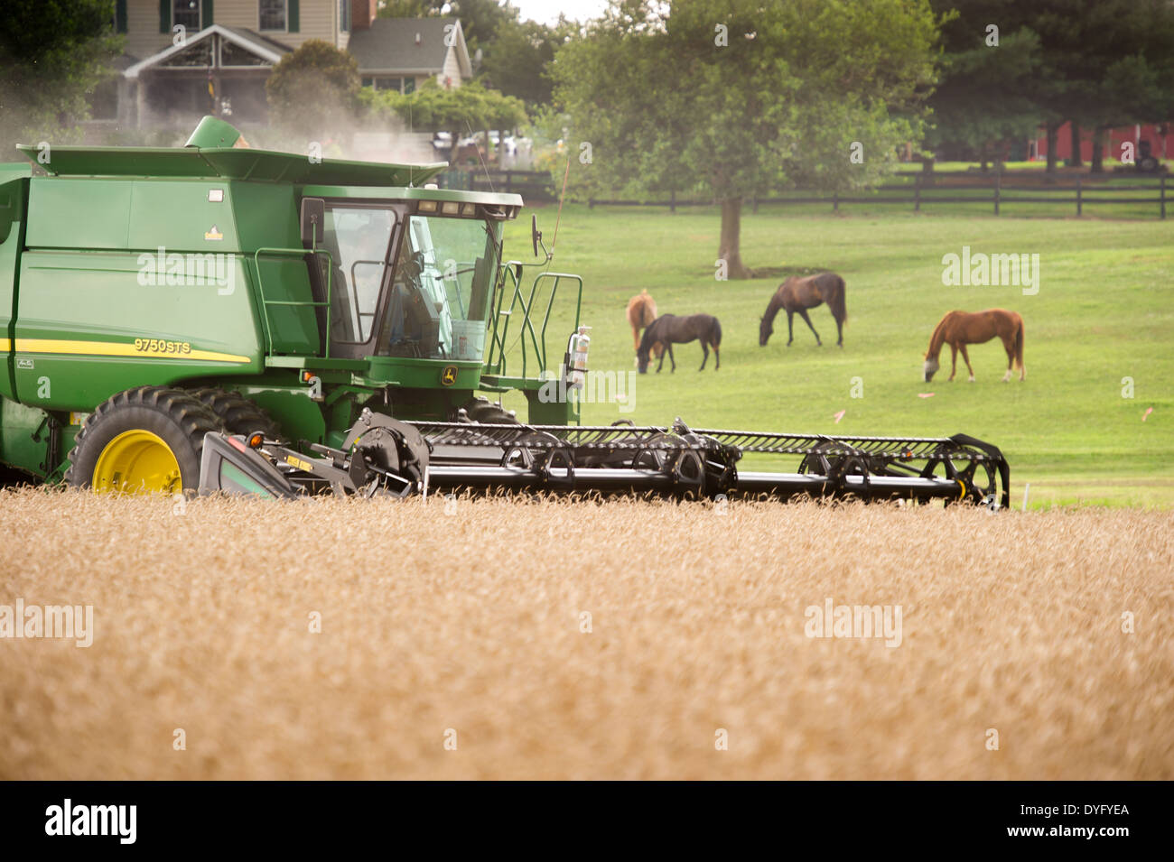 Harvest with horses hi-res stock photography and images - Alamy