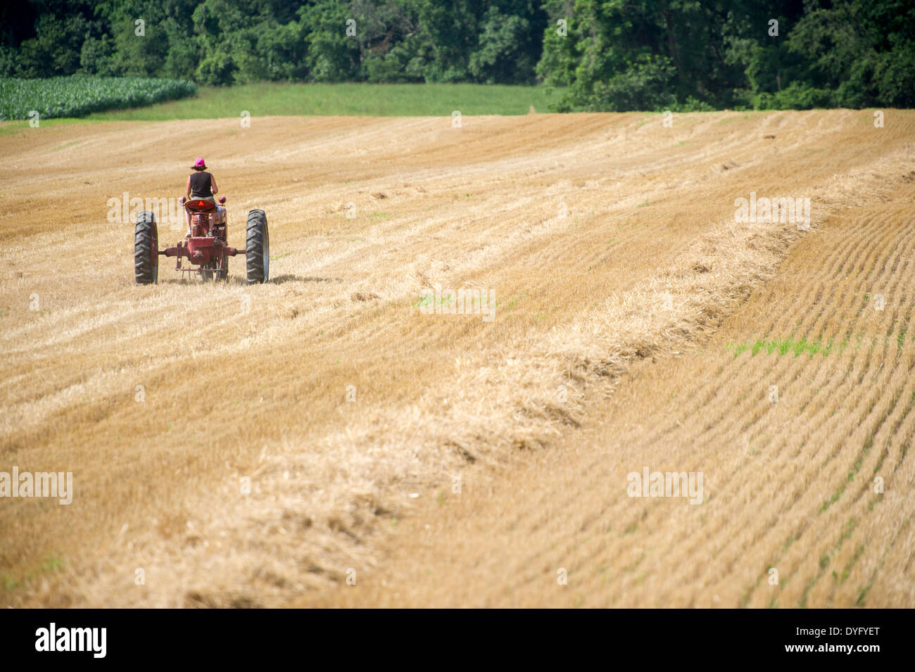 Woman farmer driving tractor hi-res stock photography and images - Alamy