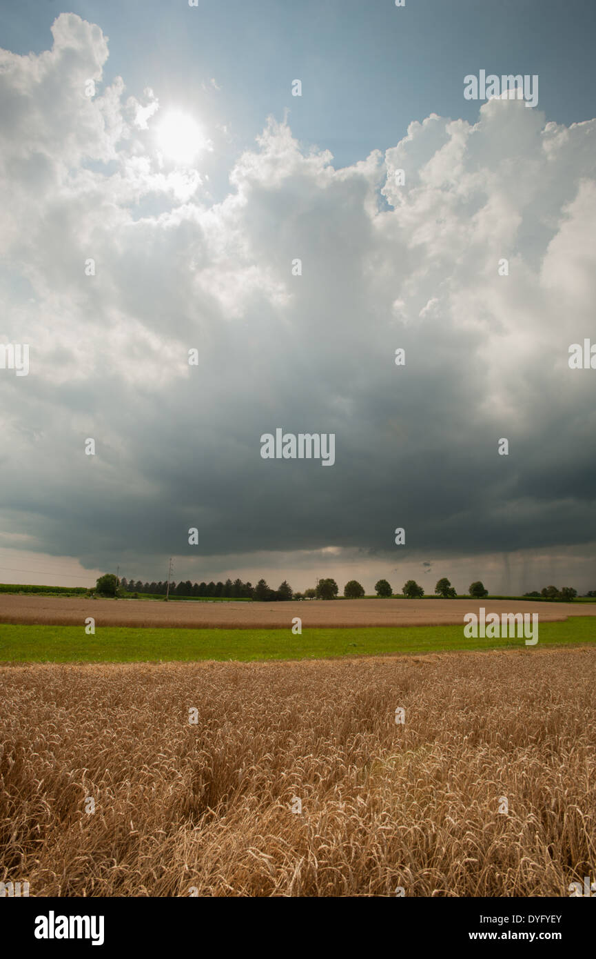 Sun and Rain Stock Photo - Alamy