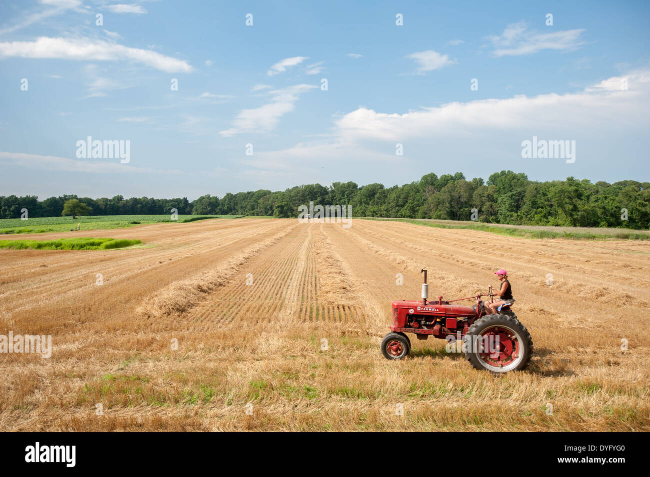 Woman driving tractor hi-res stock photography and images - Alamy