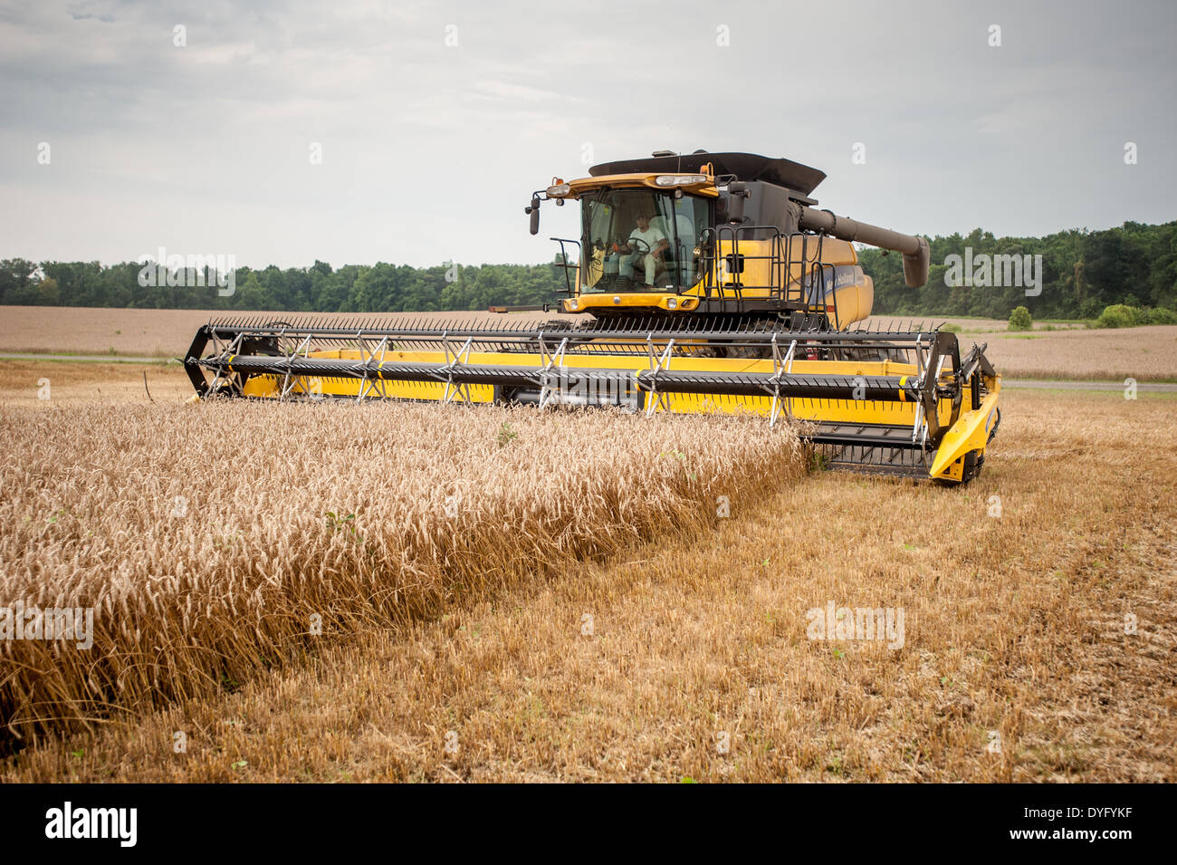 Combine harvest hi-res stock photography and images - Alamy