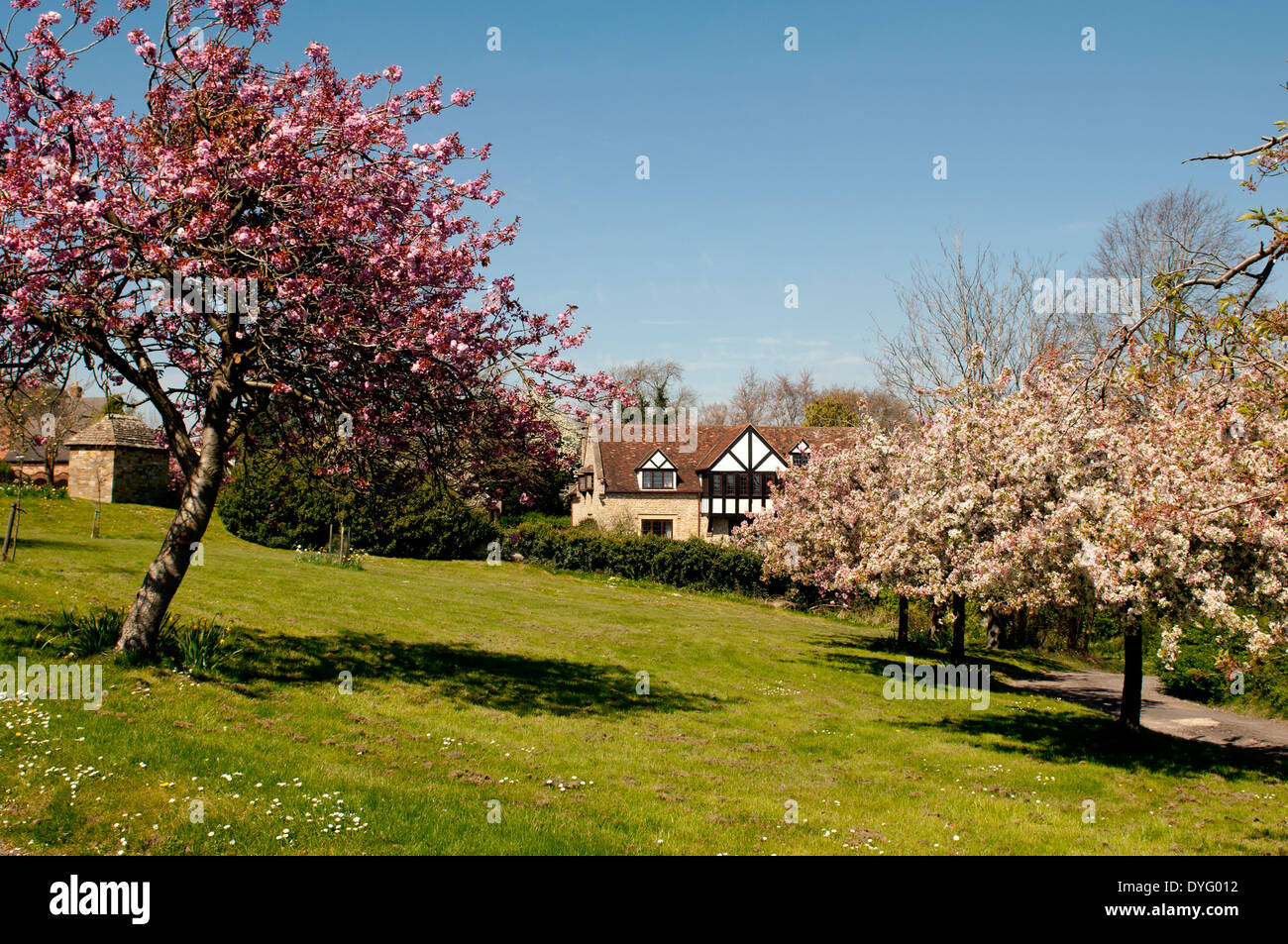 Tredington village in spring with blossom, Warwickshire, England, UK ...
