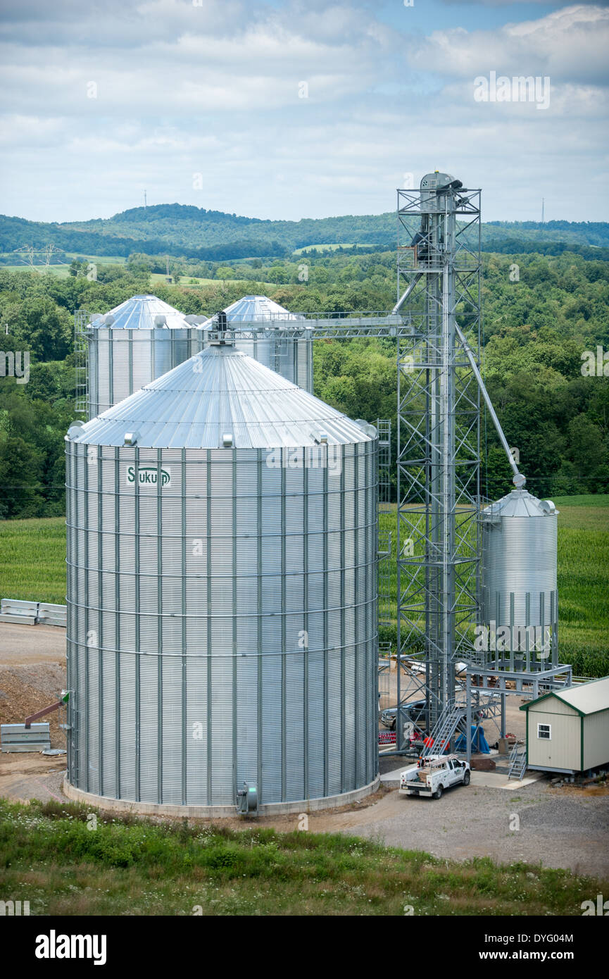 Soybean oil hi-res stock photography and images - Alamy
