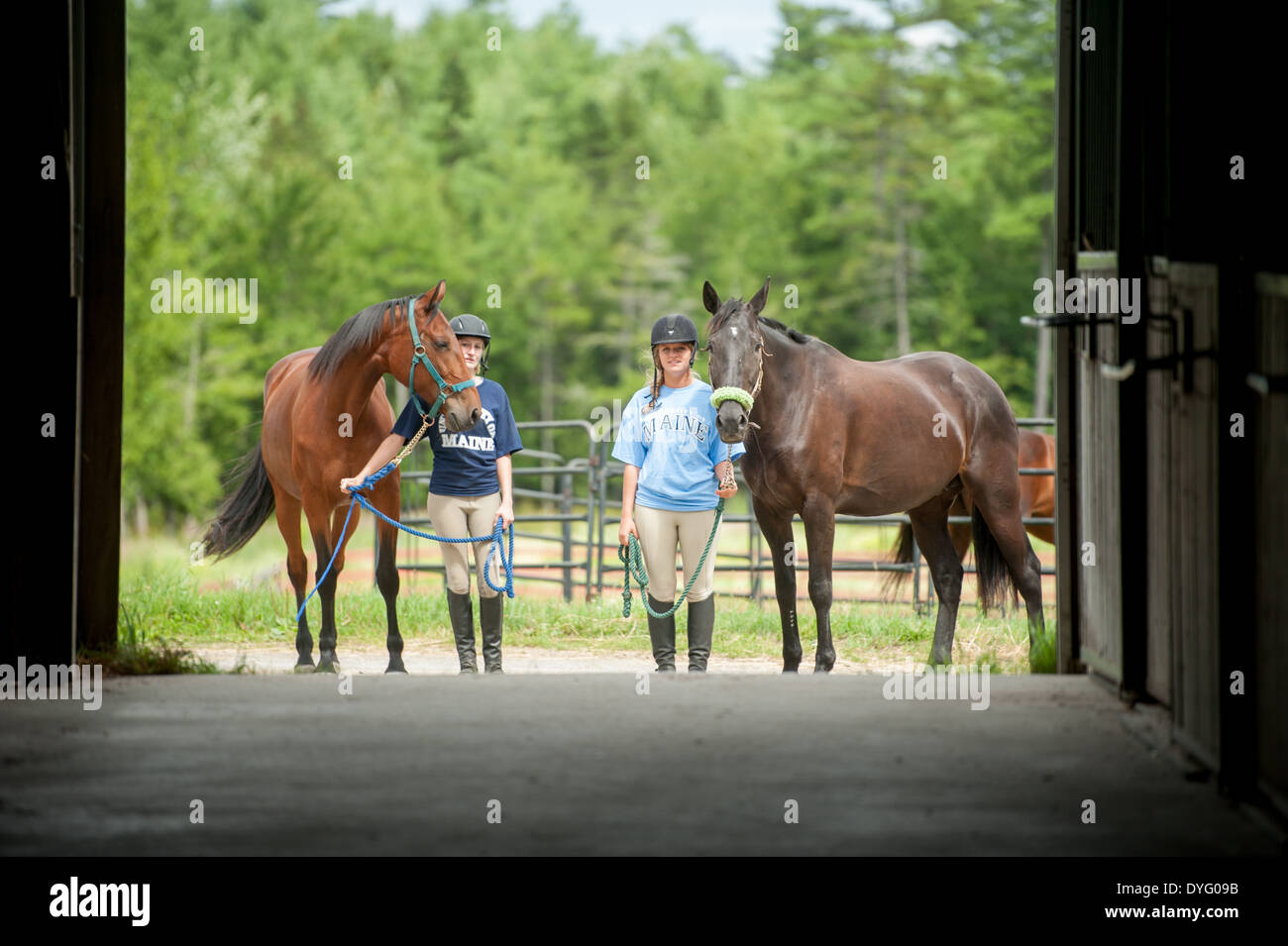 Two women with two horses walking into stable Orono, Maine Stock Photo ...