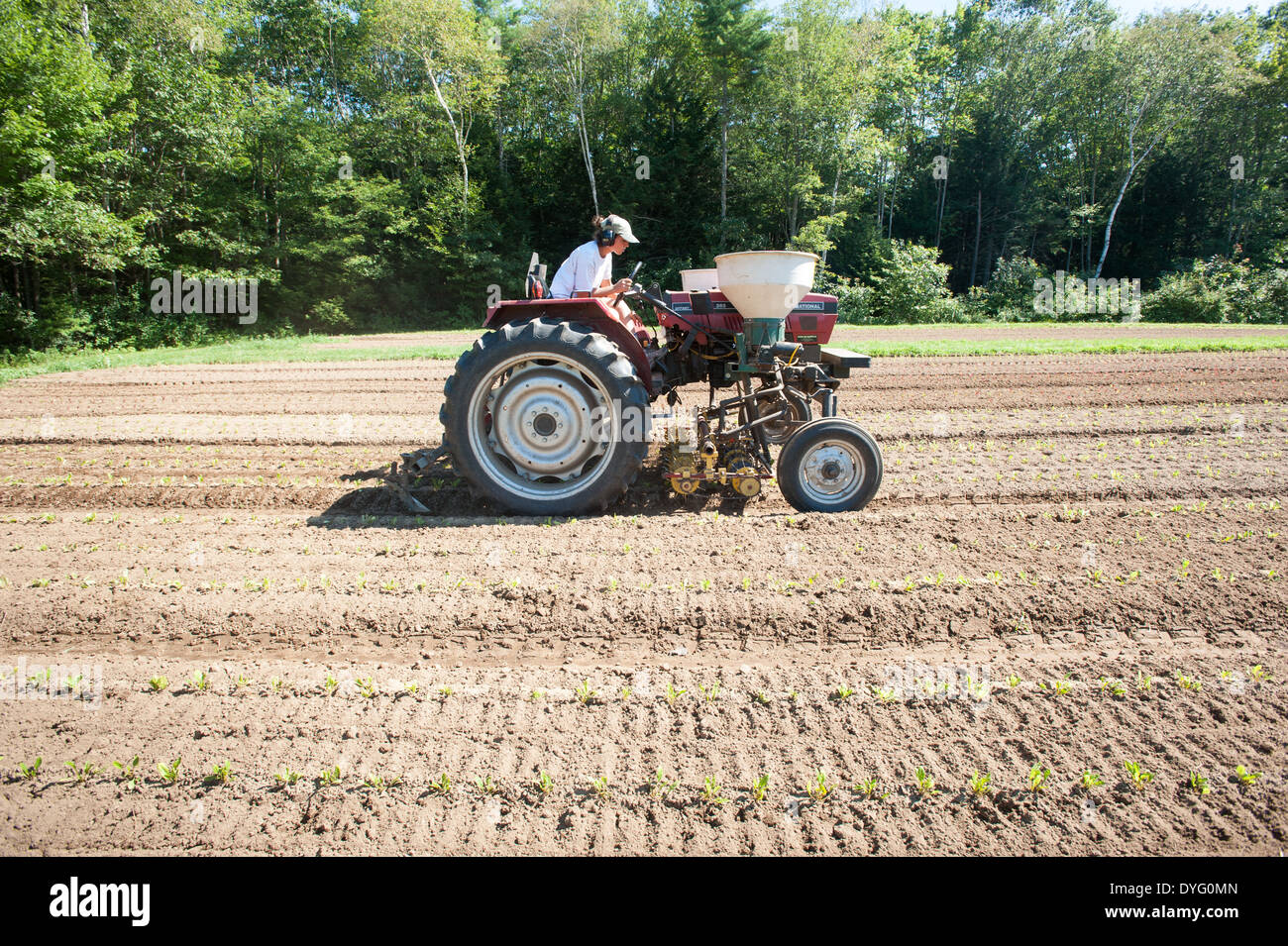 Man driving tractor hi-res stock photography and images - Alamy