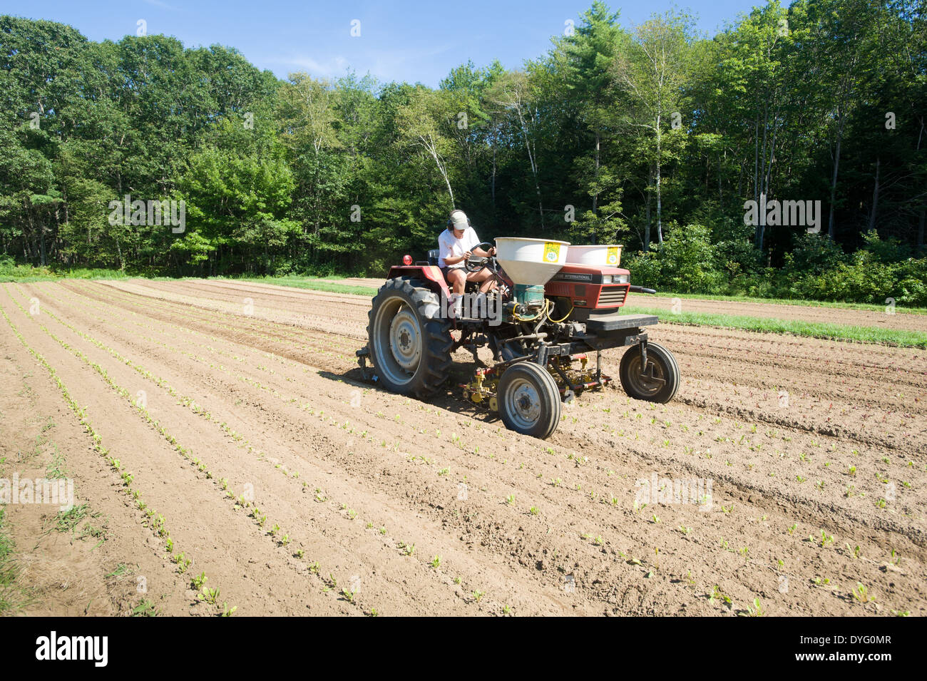 Man driving tractor hi-res stock photography and images - Alamy
