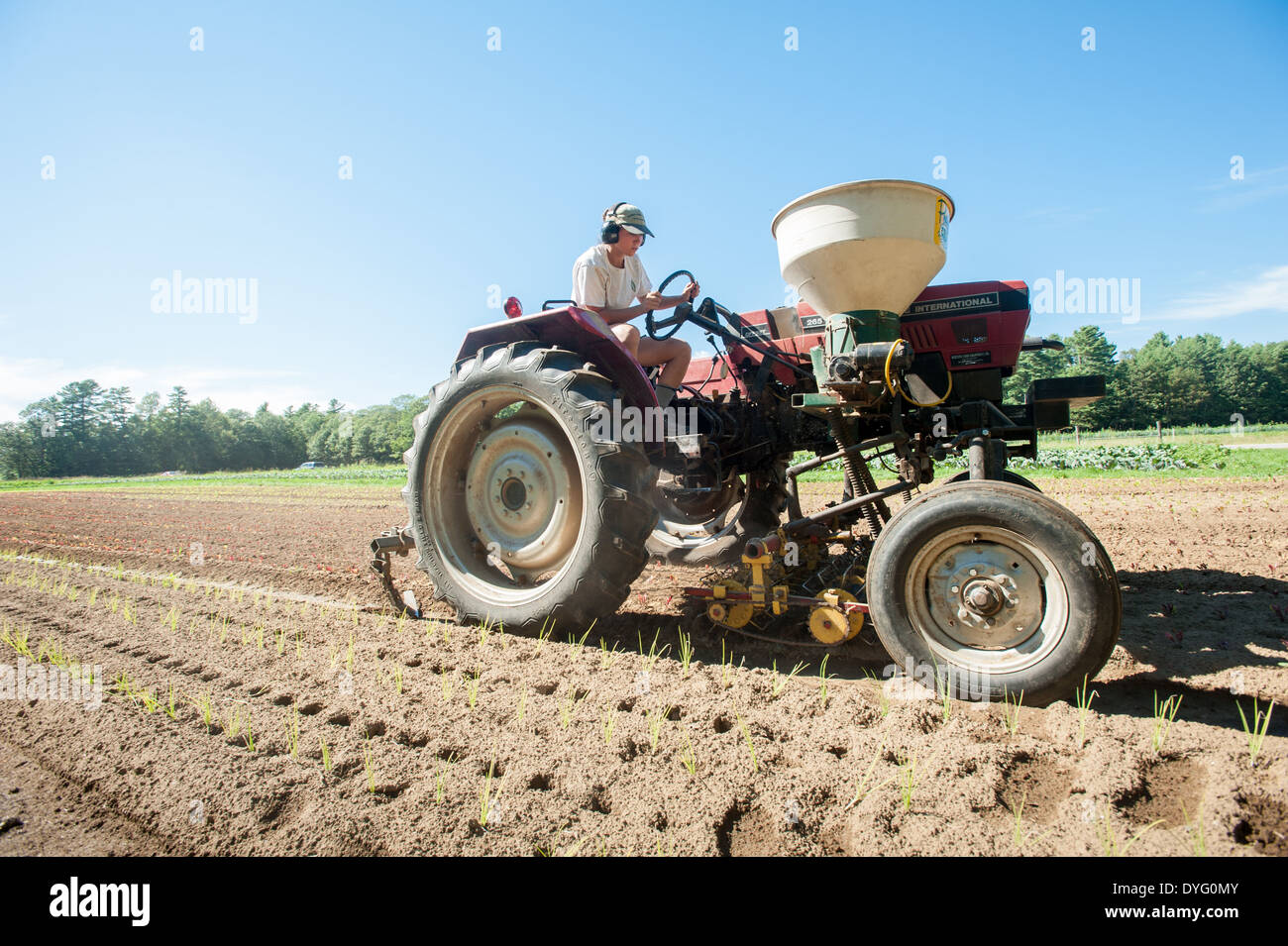Driving red tractor Brunswick, Maine Stock Photo - Alamy