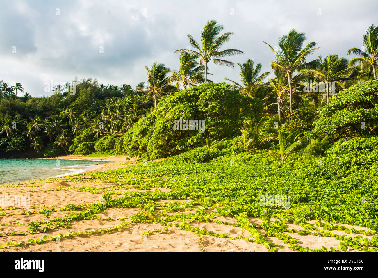 Papaa High Resolution Stock Photography and Images - Alamy