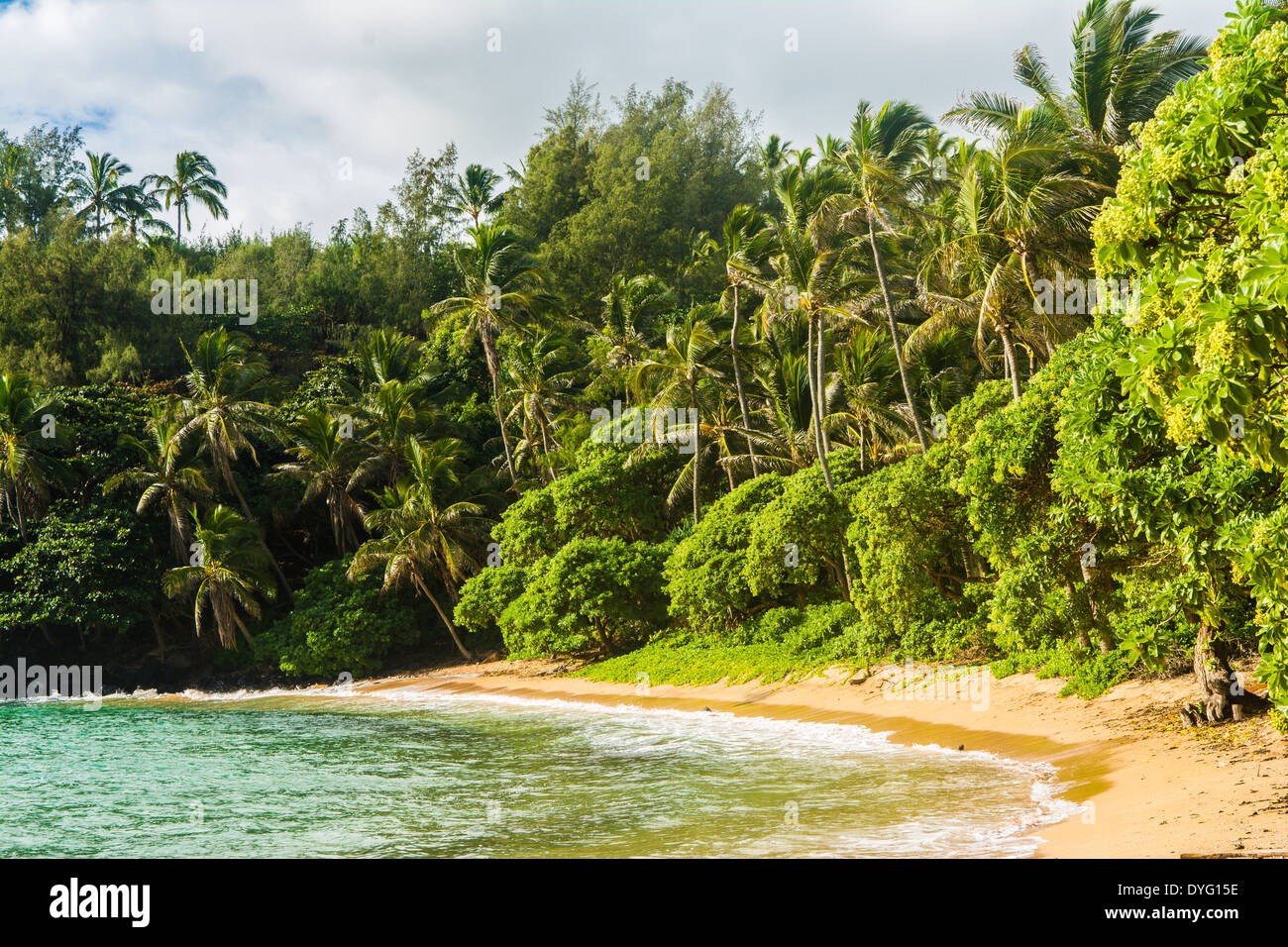 Papaa High Resolution Stock Photography and Images - Alamy