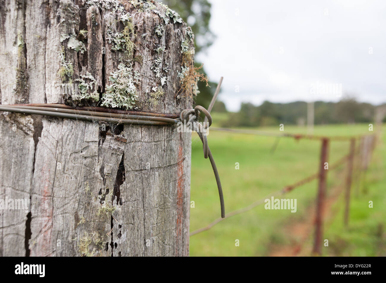 Barbed wire around post hi-res stock photography and images - Alamy