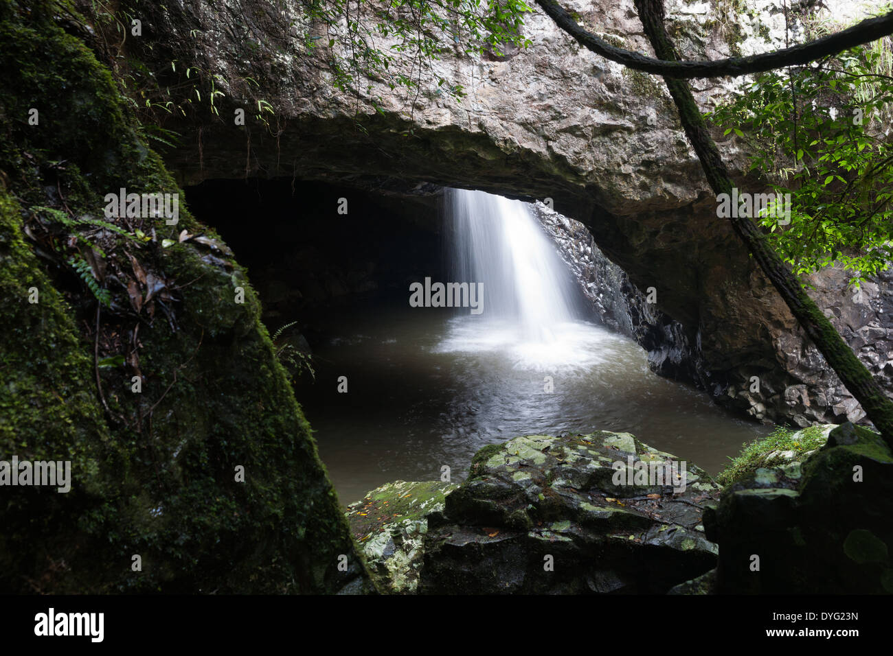 Natural Bridge waterfall in Queensland Australia Stock Photo - Alamy