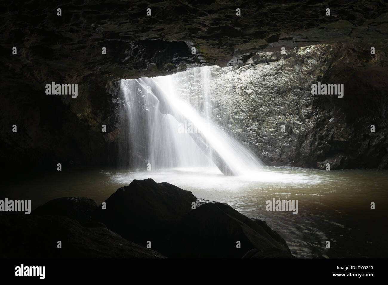 Natural Bridge waterfall in Queensland Australia Stock Photo - Alamy