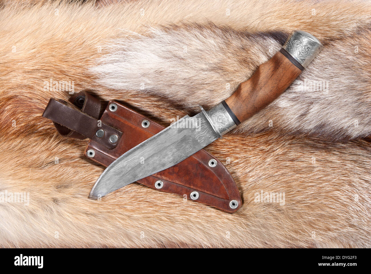 Brown leather sheath hi-res stock photography and images - Alamy