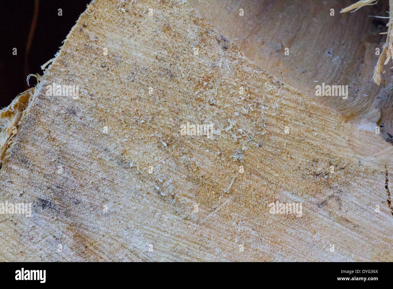 Log circle hi-res stock photography and images - Alamy