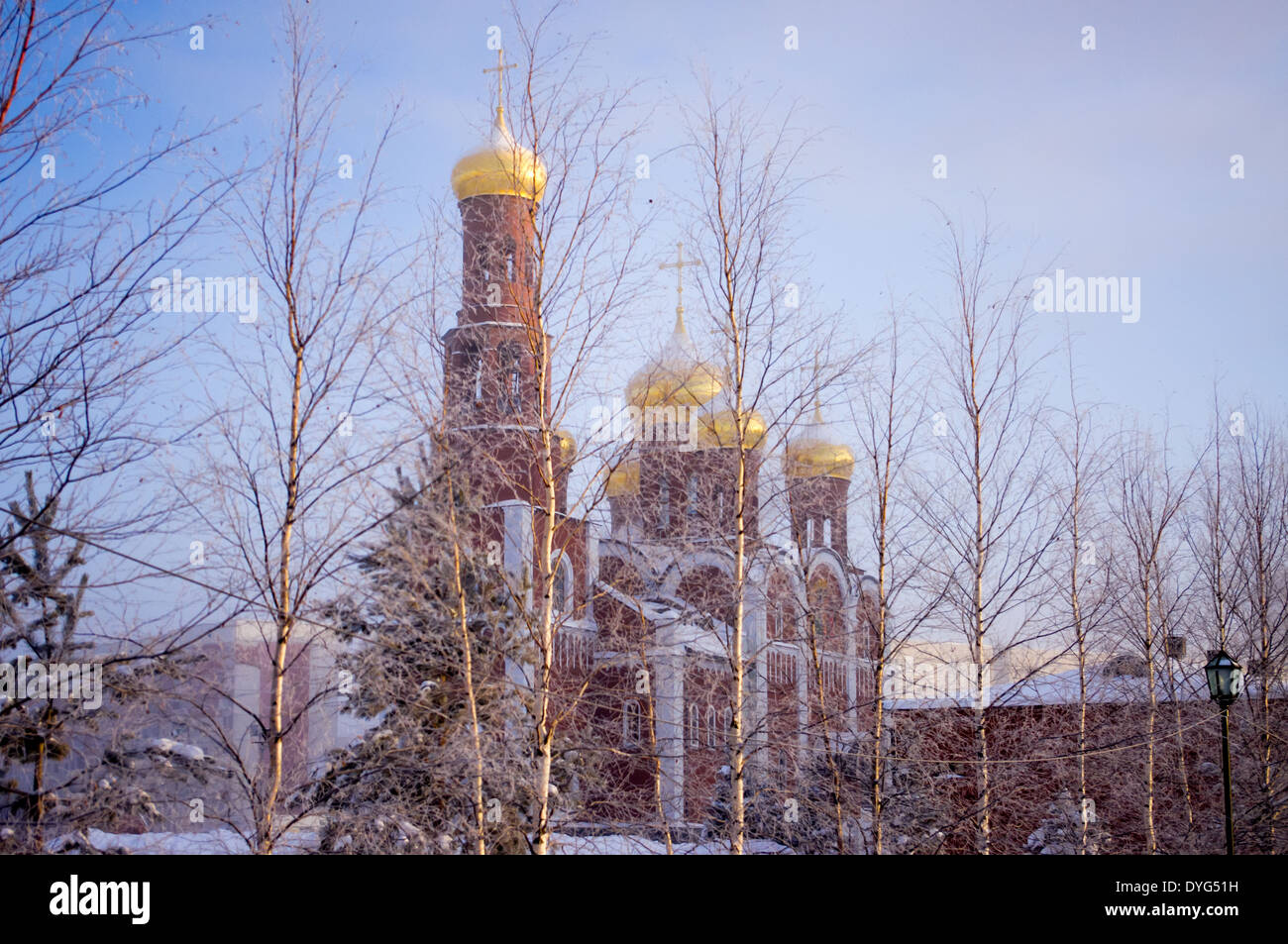 Trees on the background of an Orthodox church, the church Stock Photo ...