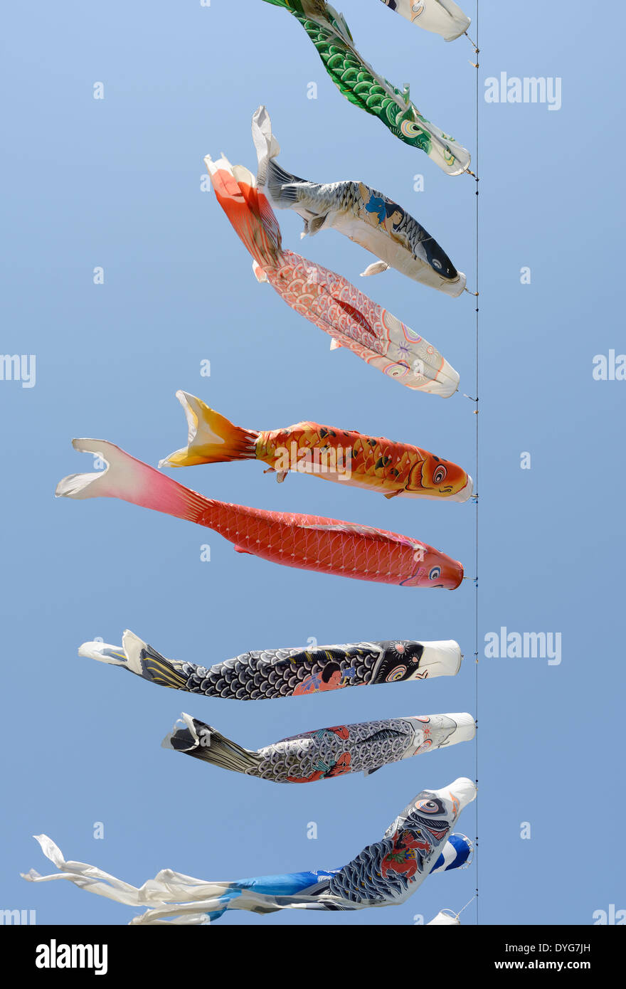 Black carp streamer hi-res stock photography and images - Alamy