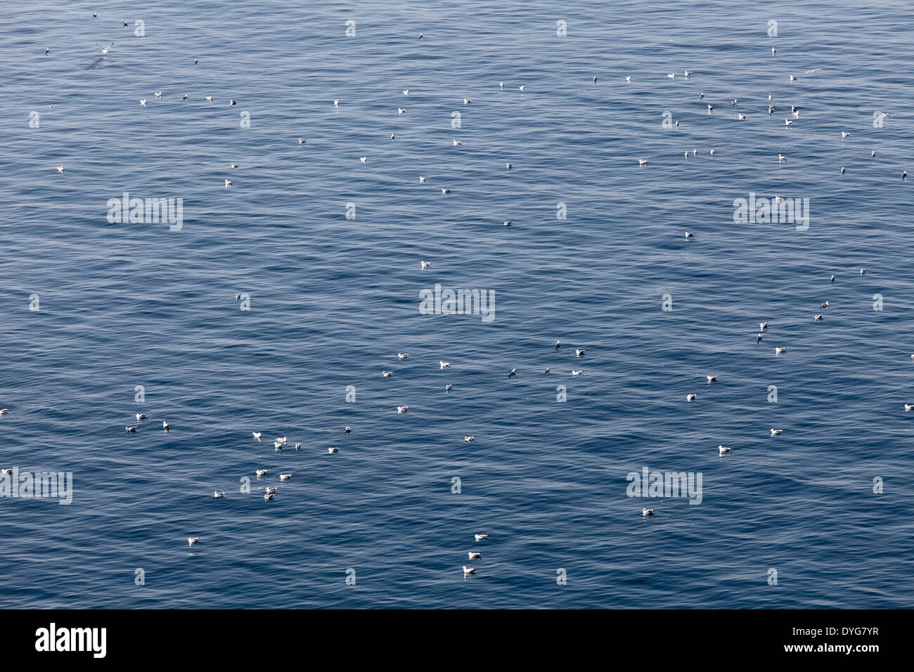 Free floating horizontal hi-res stock photography and images - Alamy