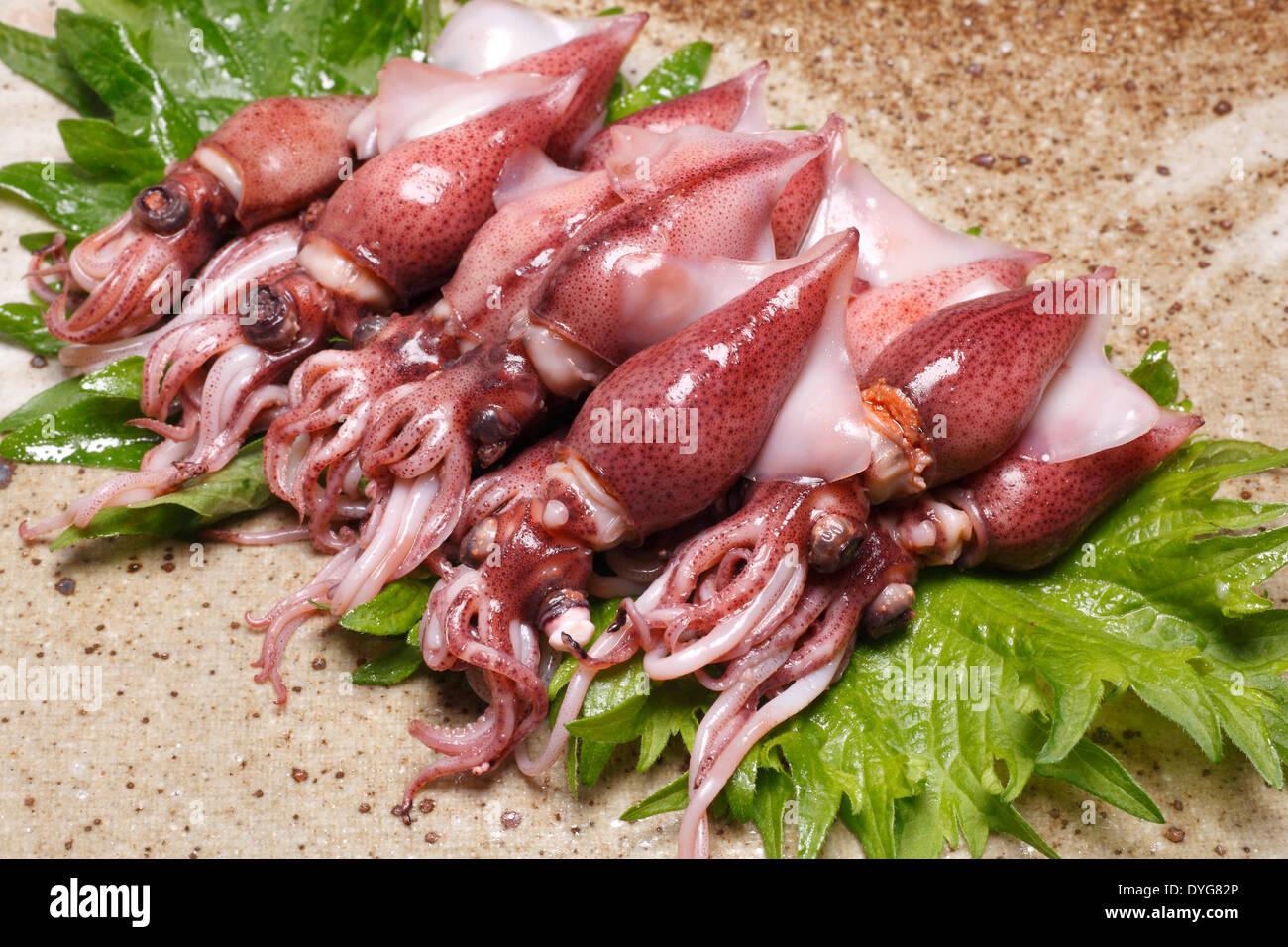 Japanese firefly hi-res stock photography and images - Alamy
