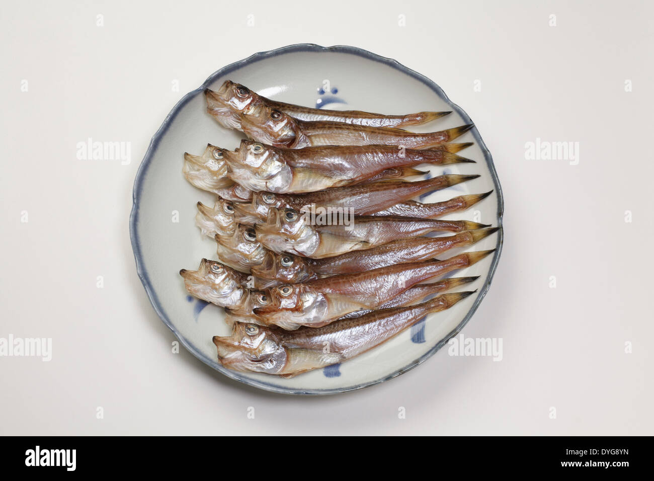 Japanese sandfish hi-res stock photography and images - Alamy