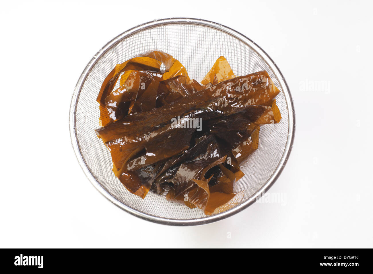 Seaweed cutout hi-res stock photography and images - Alamy