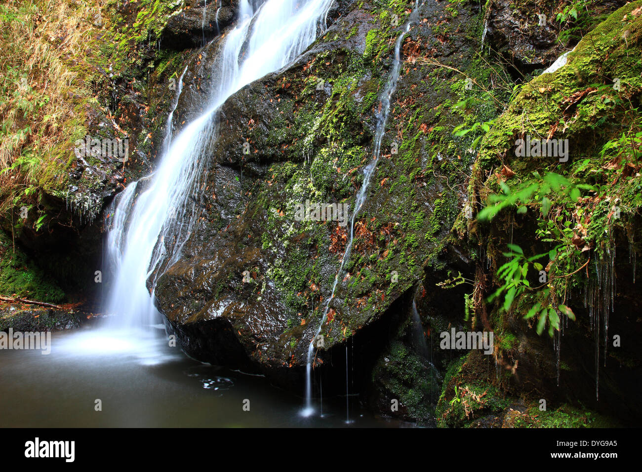 Kin town japan hi-res stock photography and images - Alamy