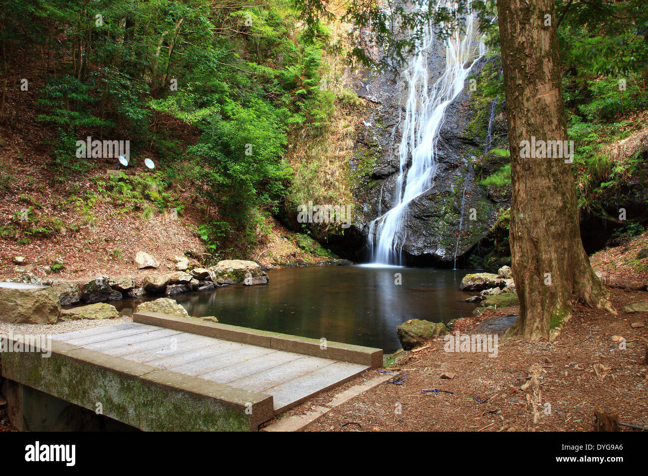 Kin Waterfall, Kyoto, Japan Stock Photo - Alamy