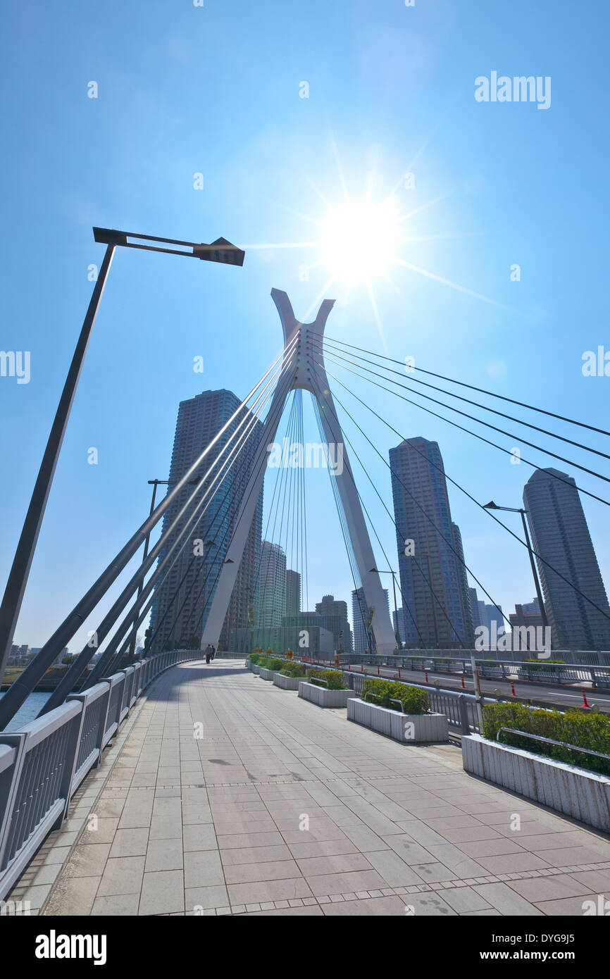 View of Tokyo, Japan Stock Photo - Alamy