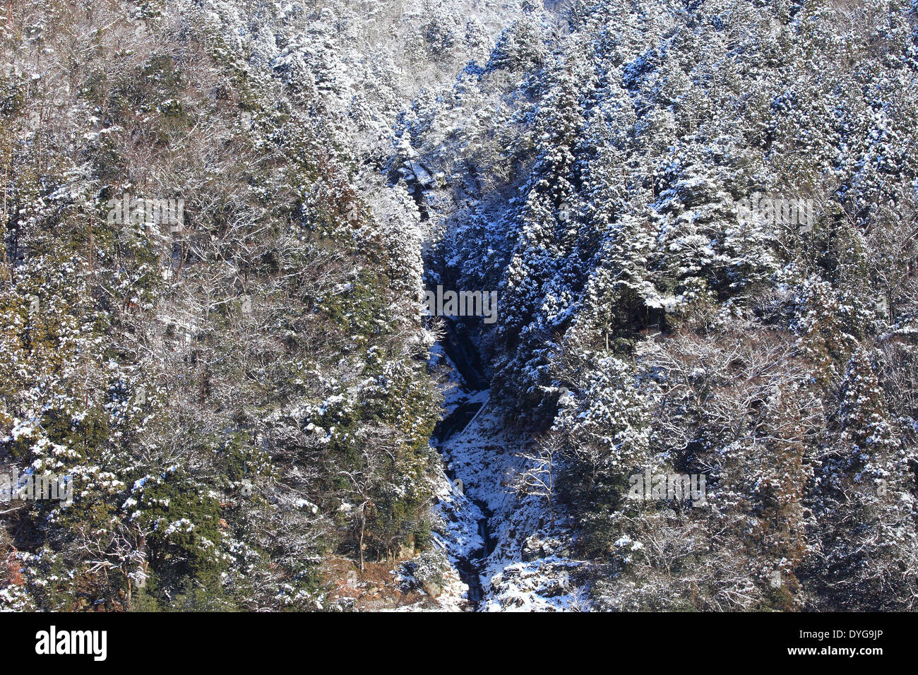Rennyo waterfall hi-res stock photography and images - Alamy