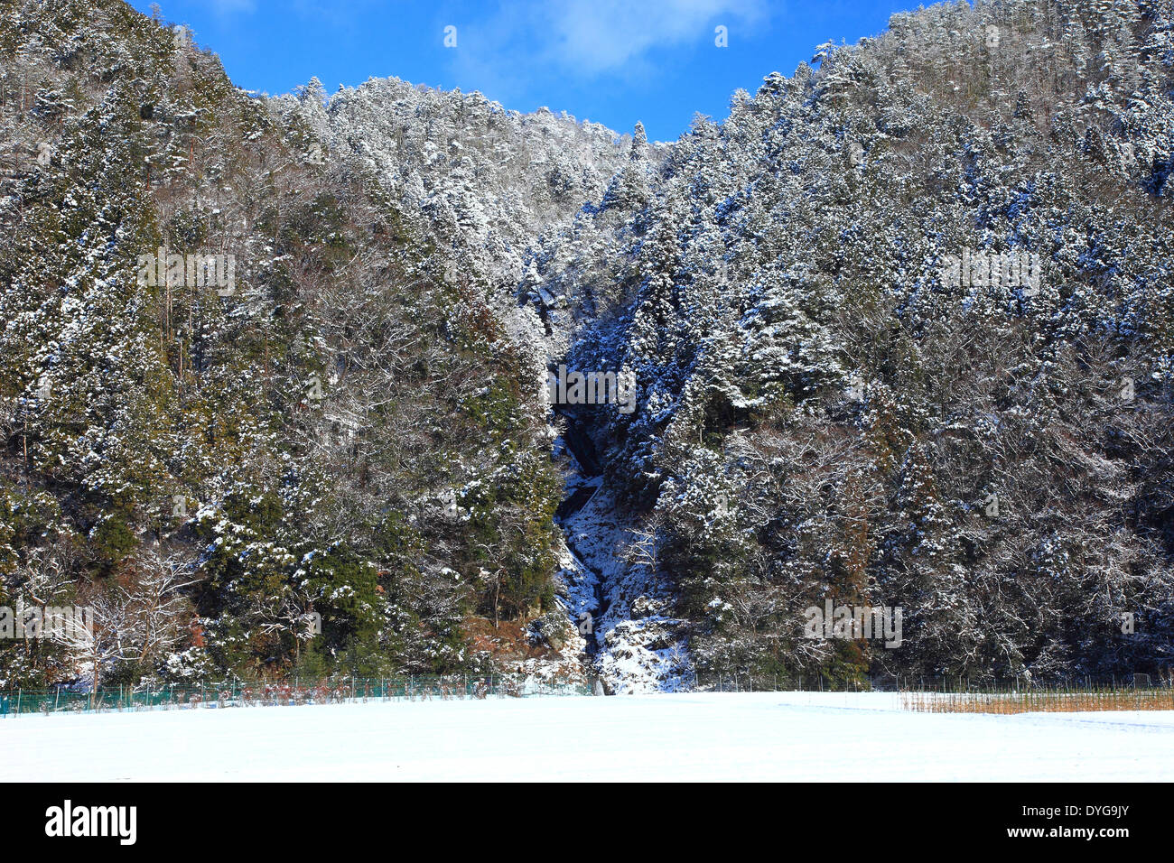 Rennyo Waterfall, Kyoto, Japan Stock Photo - Alamy