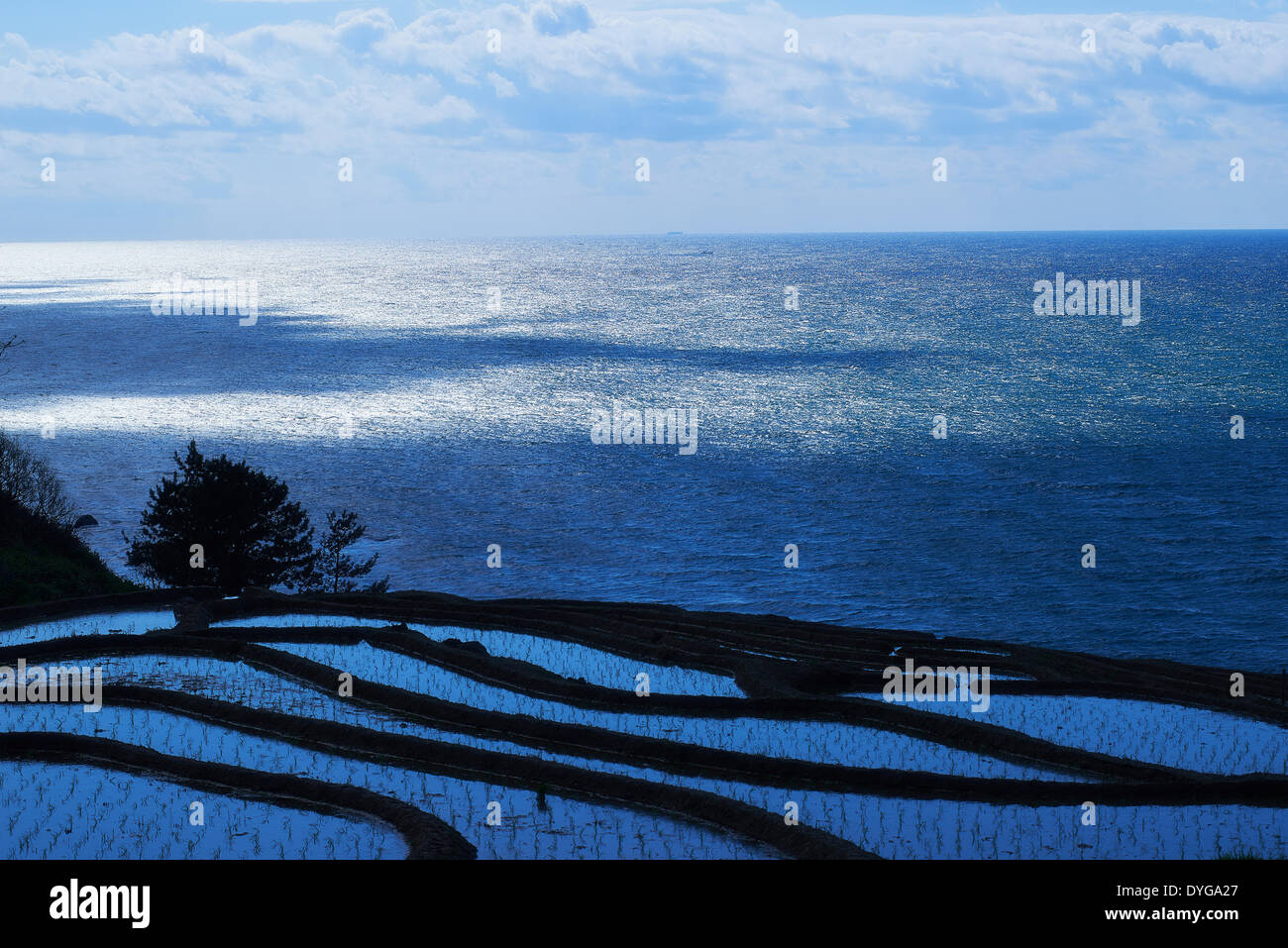 Sea of Japan Stock Photo - Alamy