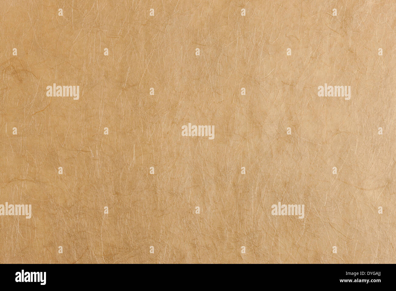 Japanese paper mulberry hi-res stock photography and images - Alamy