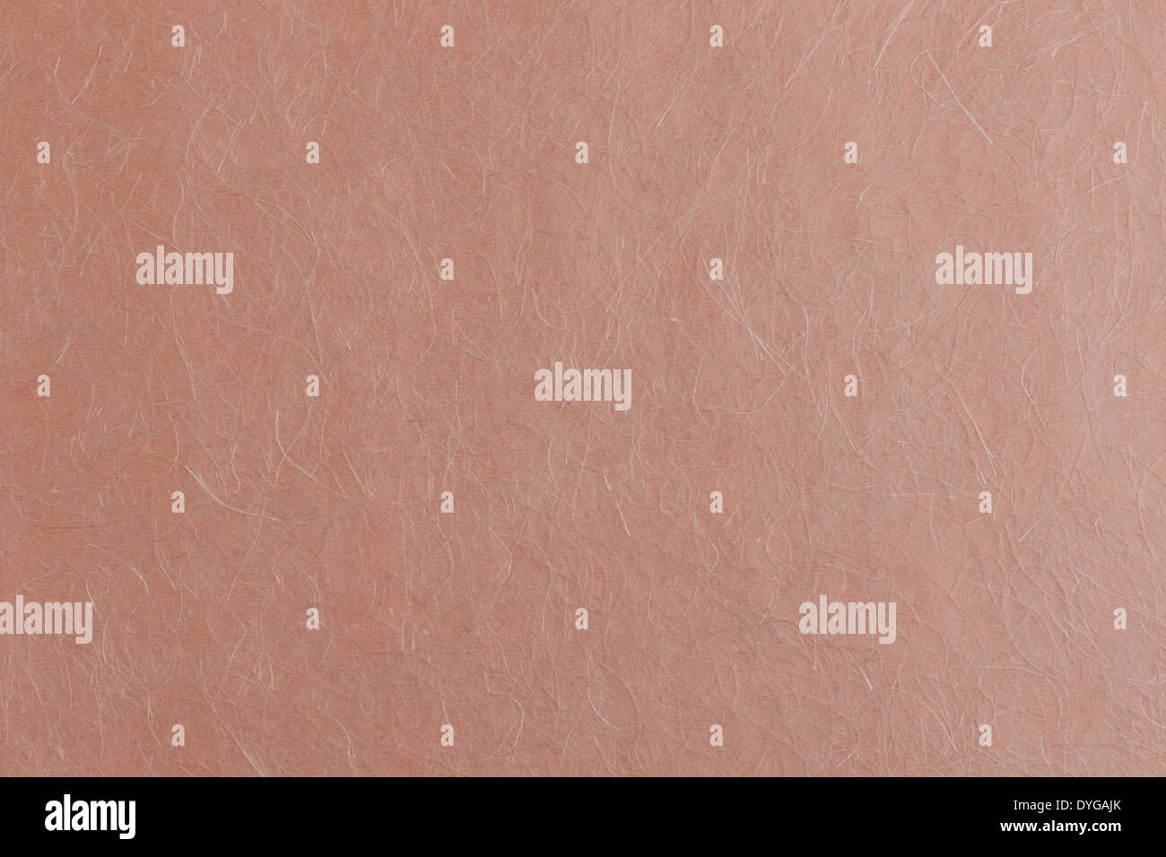 Japanese paper mulberry hi-res stock photography and images - Alamy