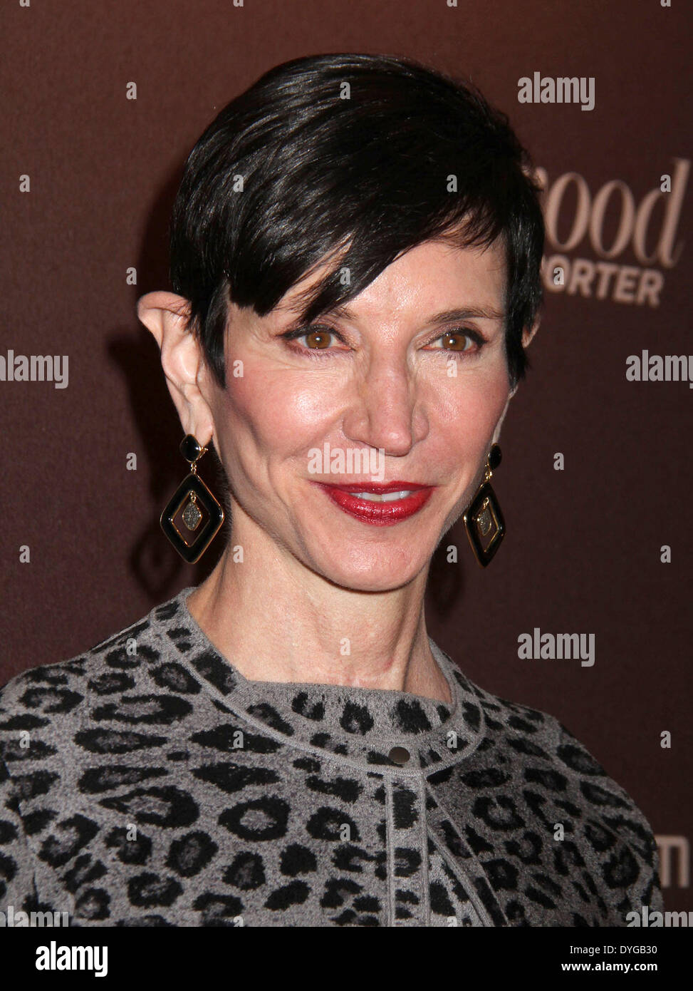 New York, New York, USA. 16th Apr, 2014. Socialite AMY FINE COLLINS ...