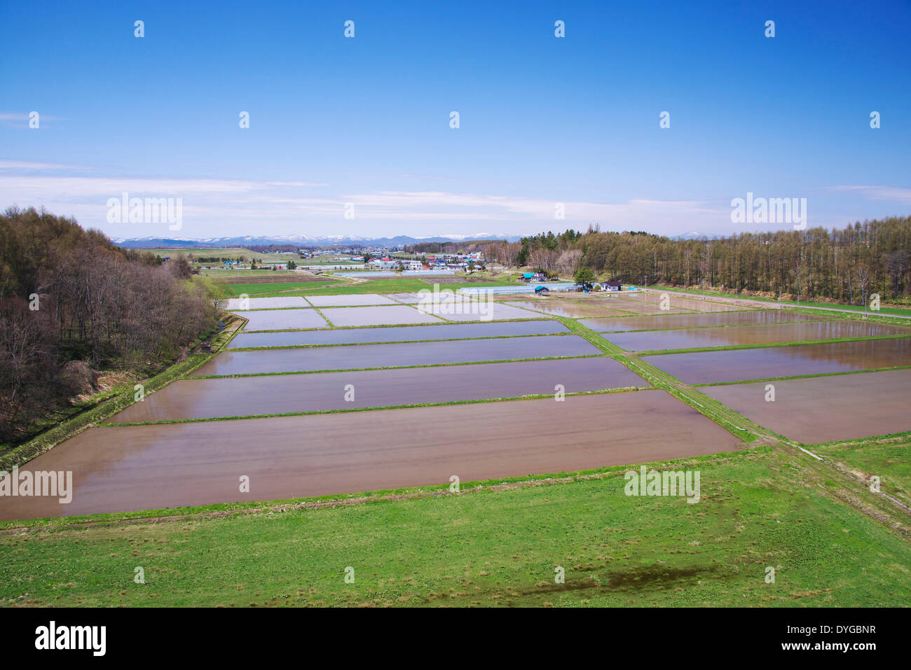Rice field hokkaido japan hi-res stock photography and images - Alamy