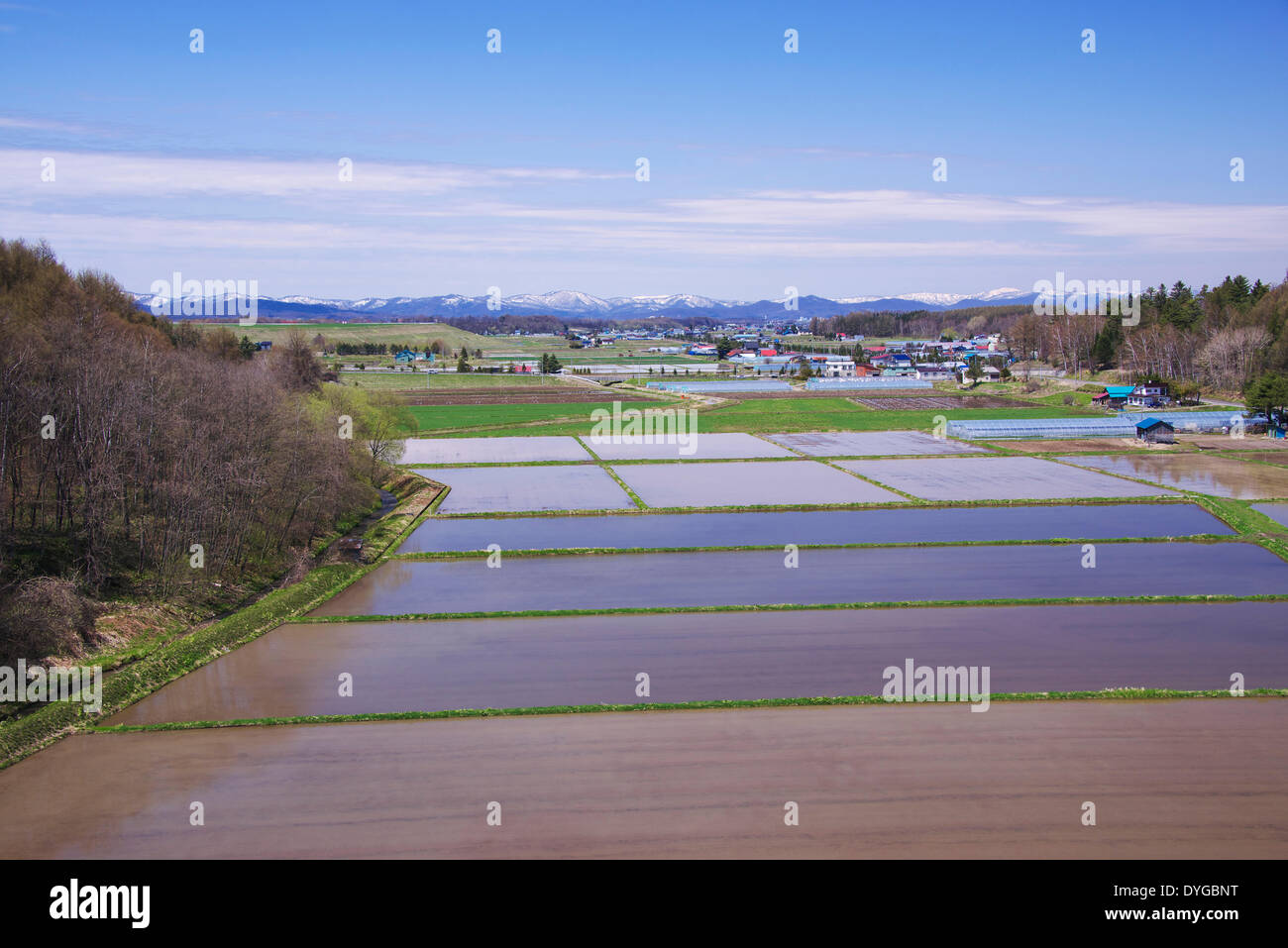 Rice field hokkaido japan hi-res stock photography and images - Alamy