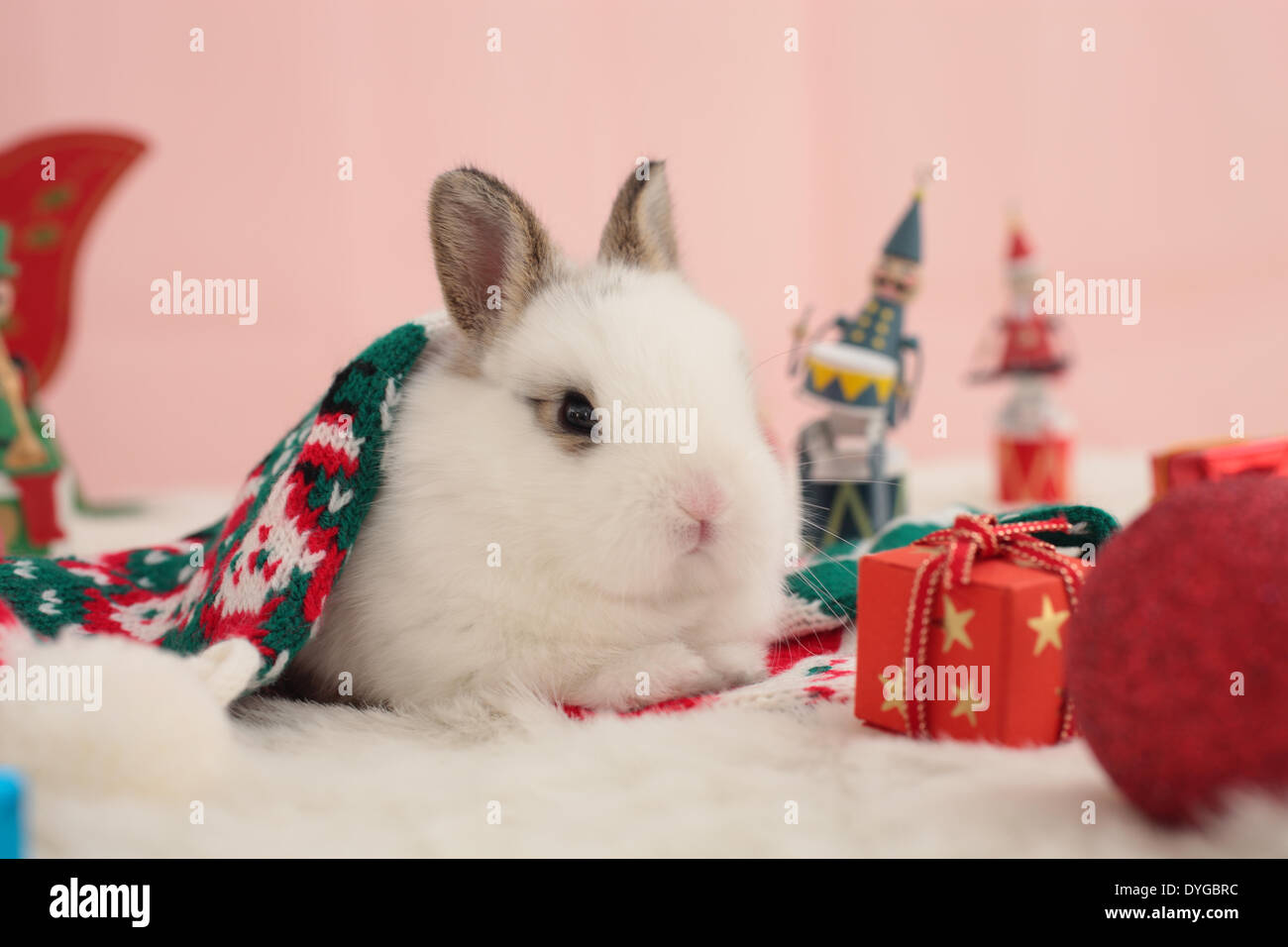 Cute rabbit hiding gift box hi-res stock photography and images - Alamy