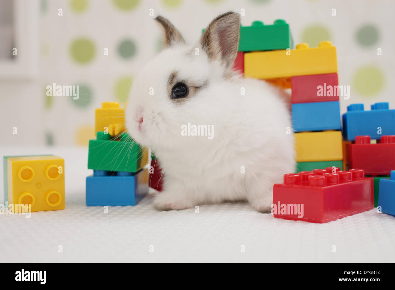 Mini creature hi-res stock photography and images - Alamy