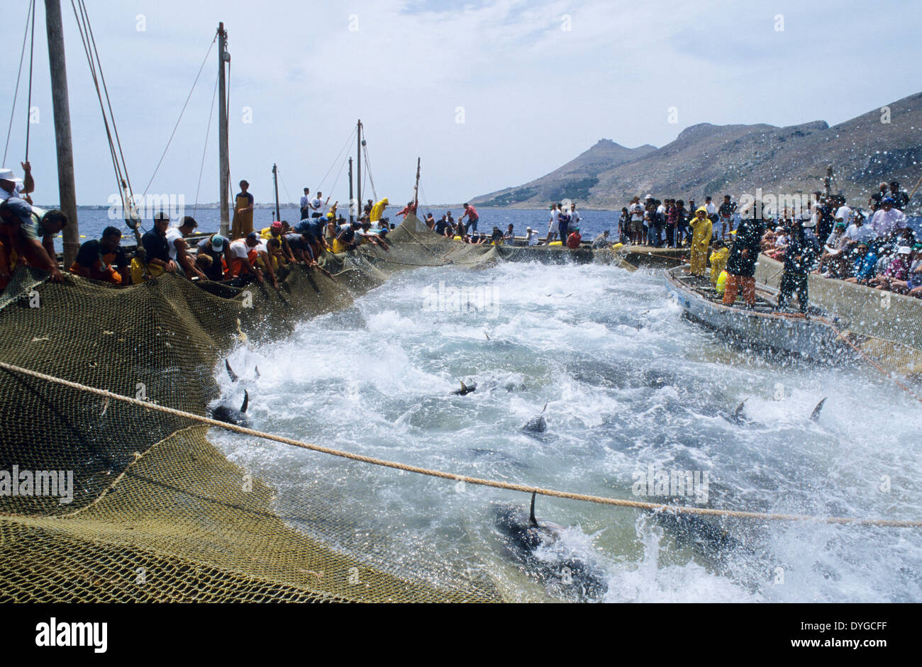 ITALY, Sicily, Aegadian Island Favignana, Tonnara May 2000, cooperative ...