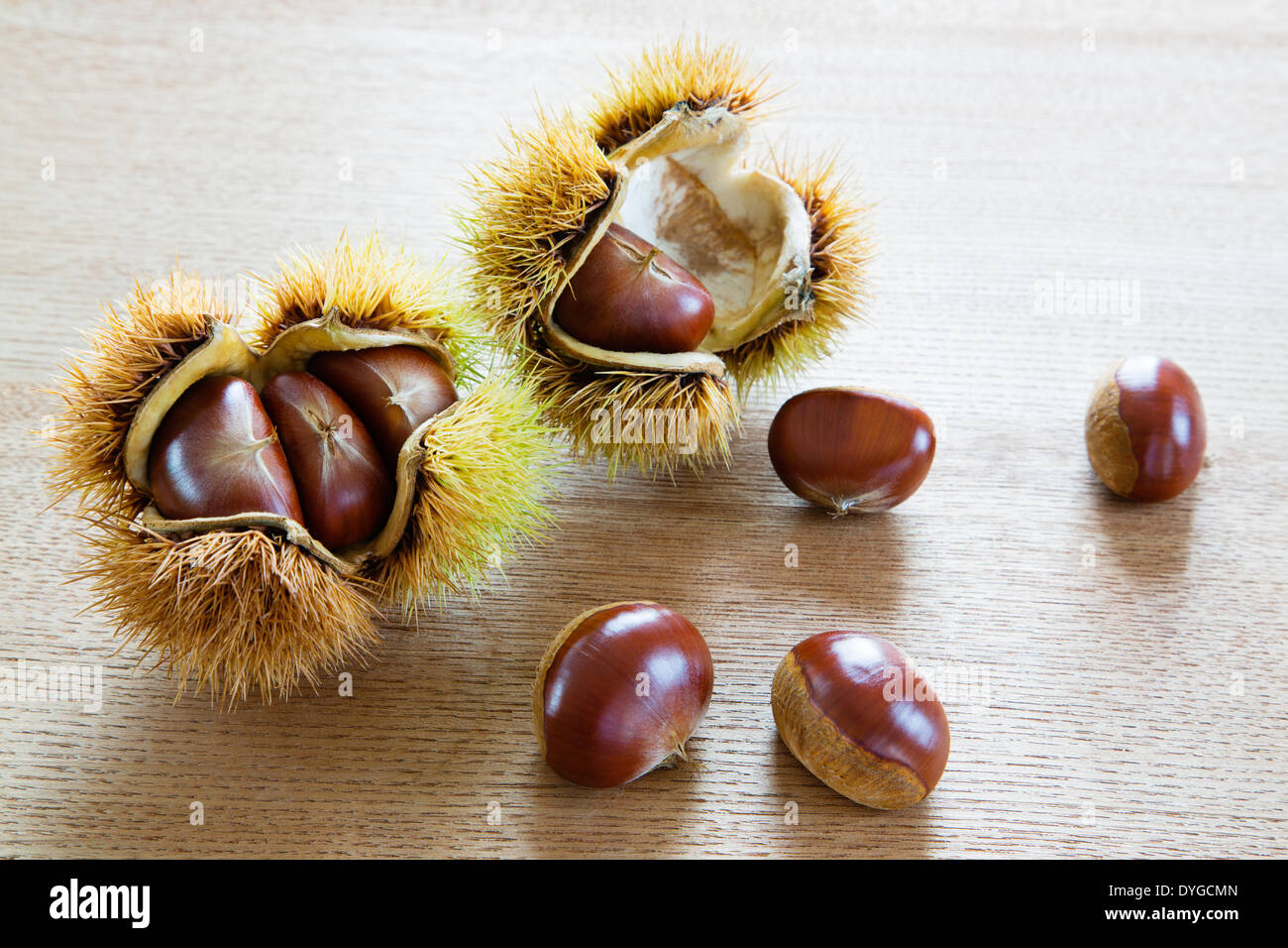 Castanea crenata japan hi-res stock photography and images - Alamy
