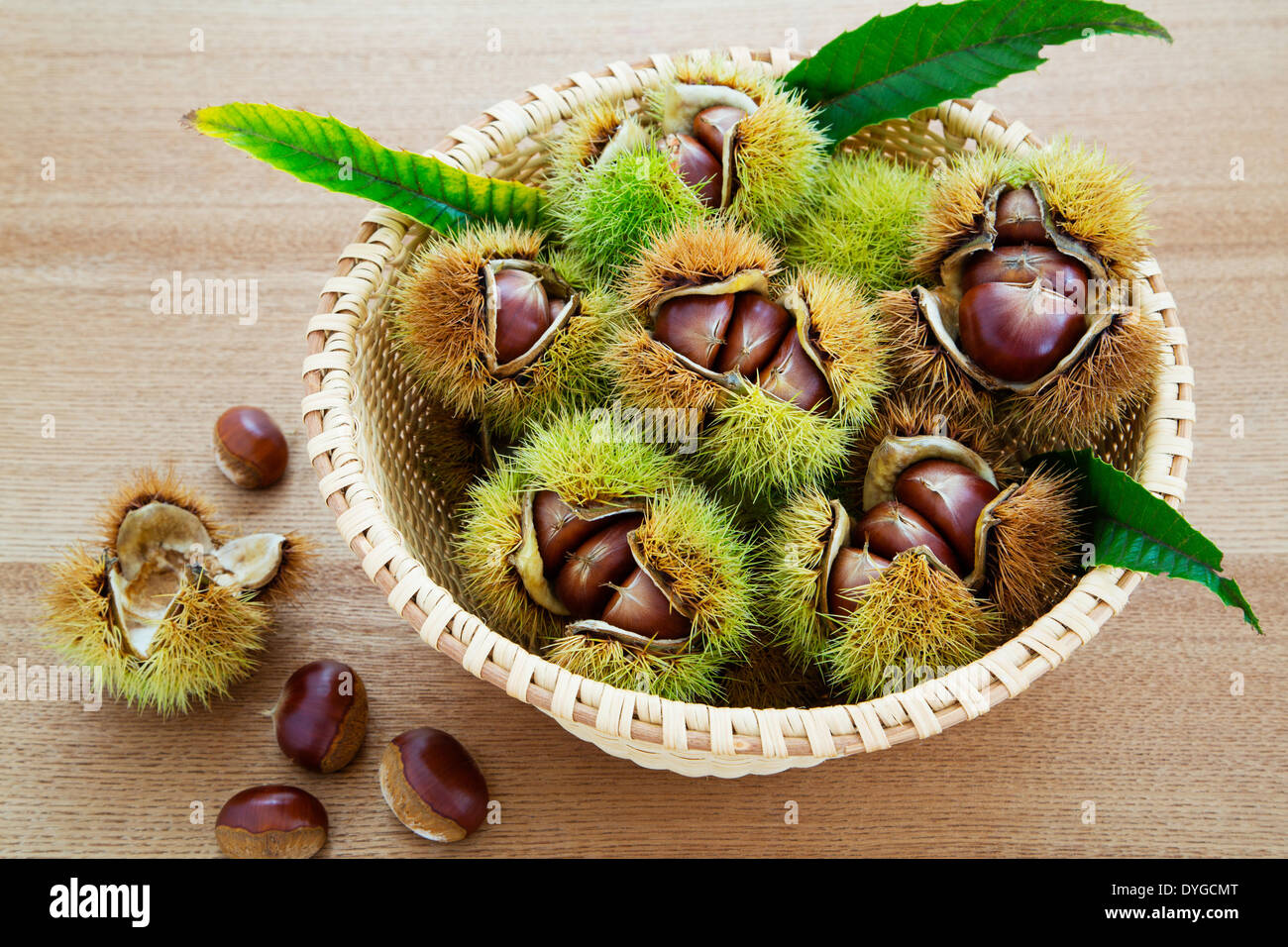 Peeling chestnut hi-res stock photography and images - Alamy
