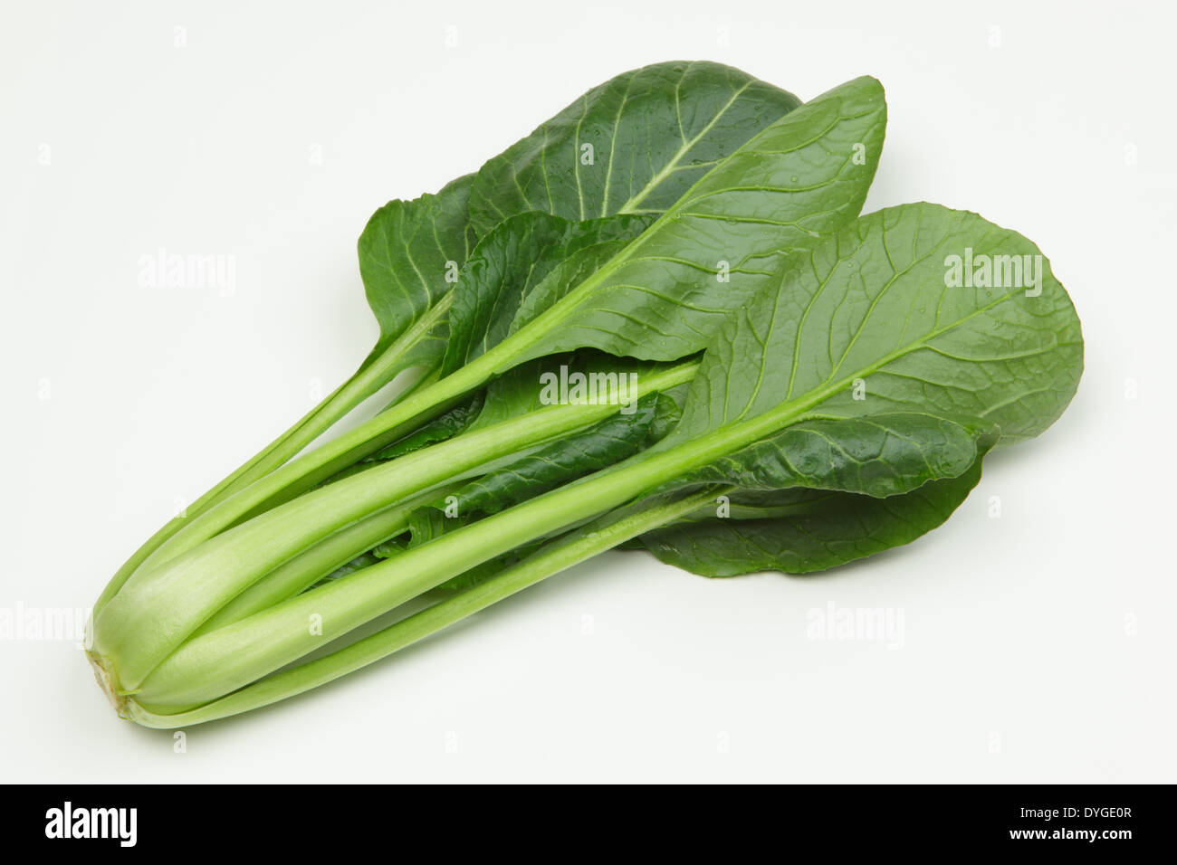 Japanese Mustard Spinach Stock Photo - Alamy