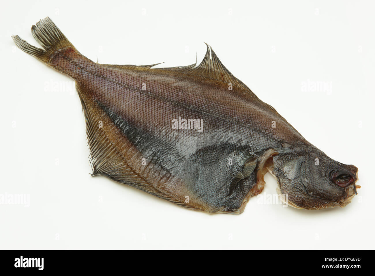 Dried flounder hi-res stock photography and images - Alamy