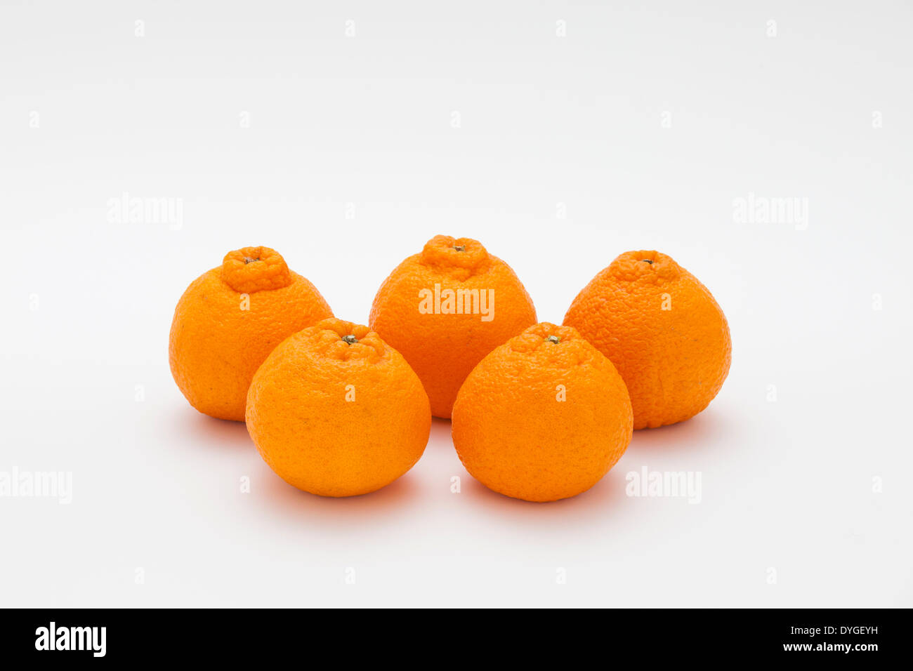 Dekopon hi-res stock photography and images - Alamy