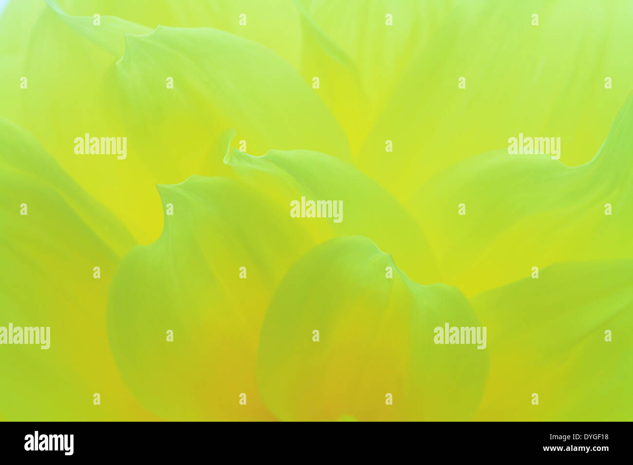 Partial clarity hi-res stock photography and images - Alamy