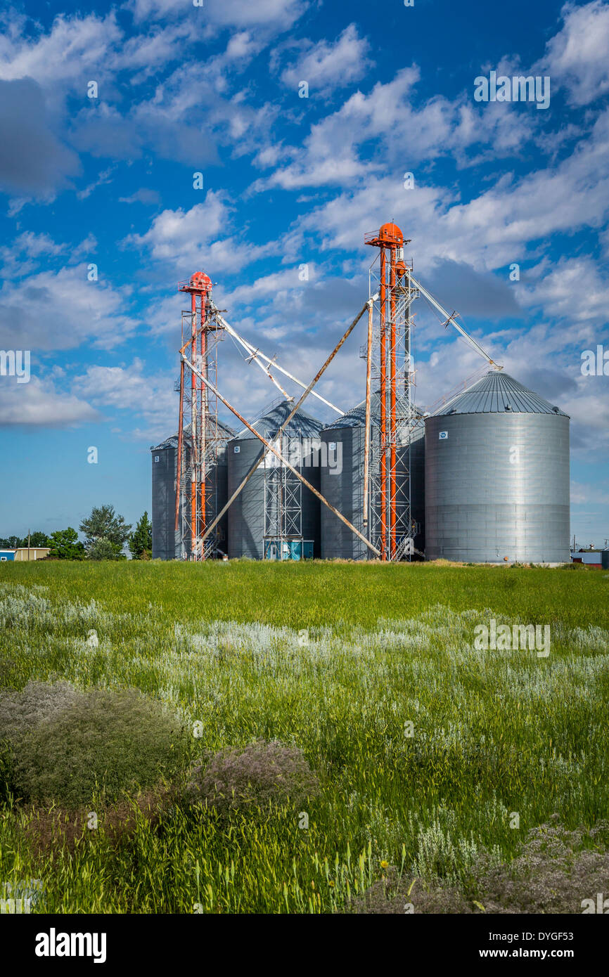 Grain storage facilities hi-res stock photography and images - Alamy