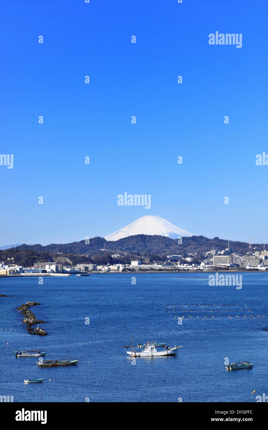 Uraga ship hi-res stock photography and images - Alamy