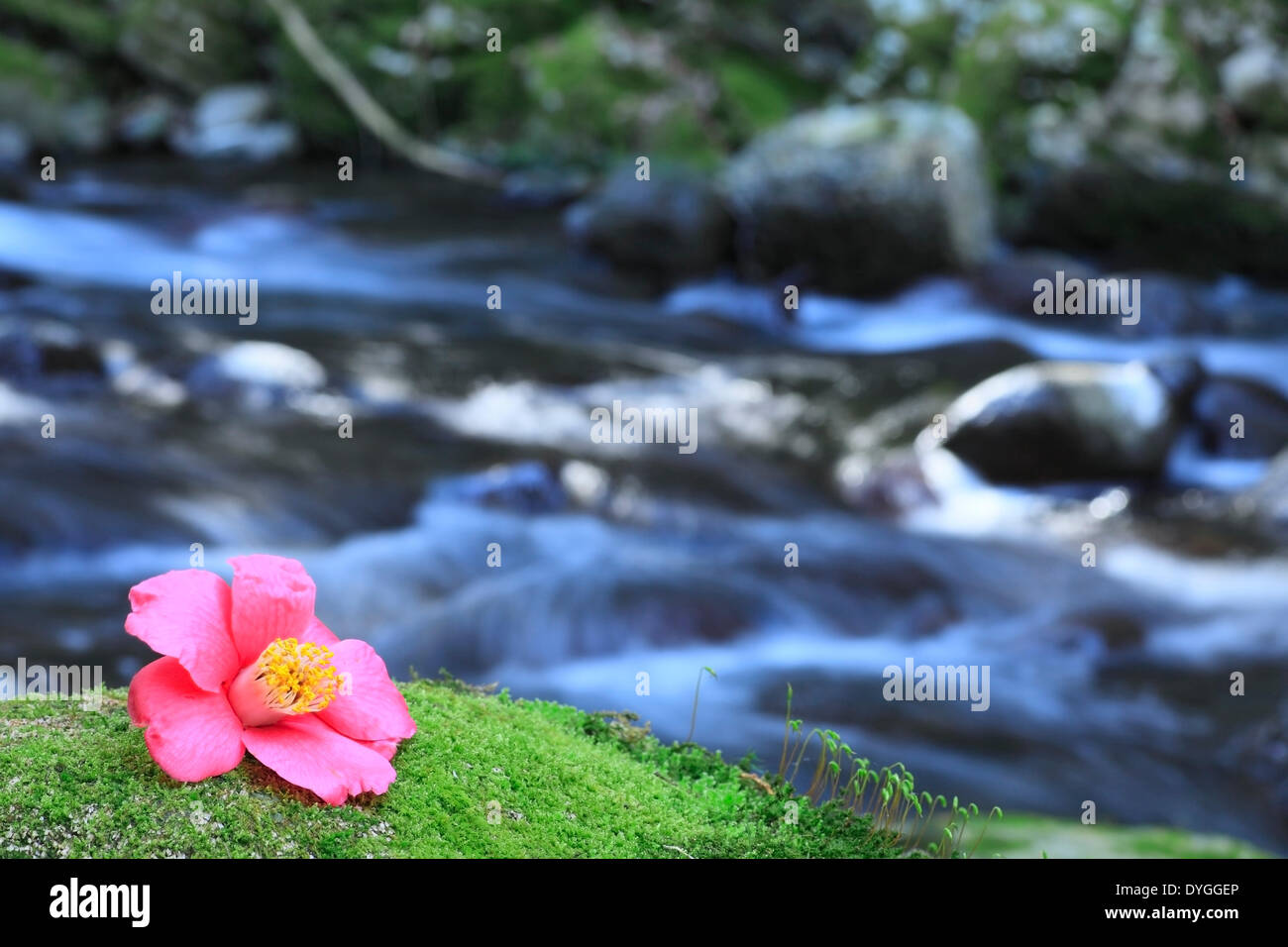 Amagi mountain hi-res stock photography and images - Alamy