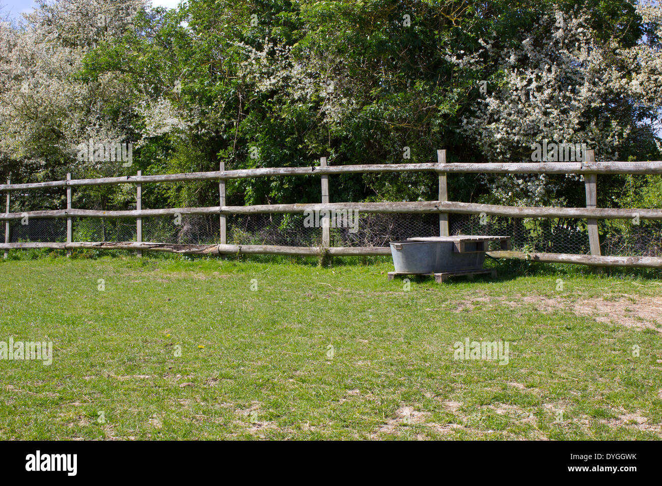 Paddock containing old galvanised bath as a water trough Stock Photo ...